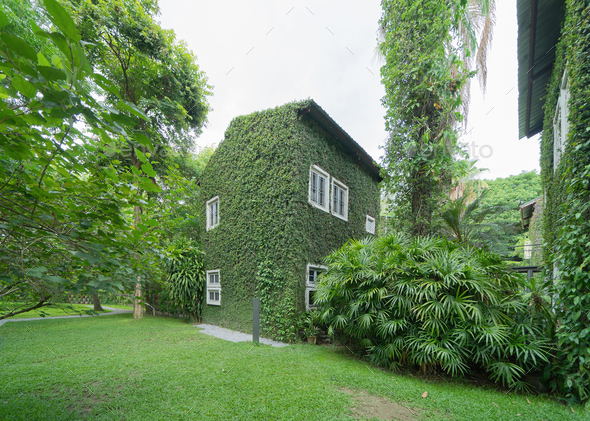 Green house building covered by natural green forest trees, grass ...
