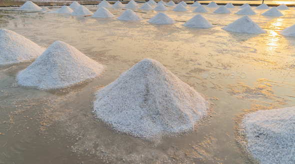 Natural sea salt ponds. Farm field. Traditional industry in Thailand ...