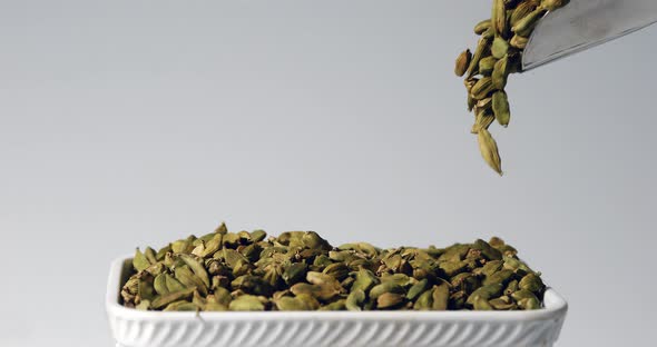 Cardamom, elettaria Cardamomum, spice falling against White Background ...