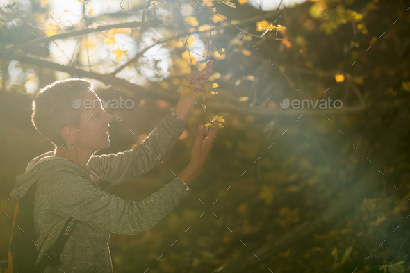 Appreciating the nature Stock Photo by microgen | PhotoDune