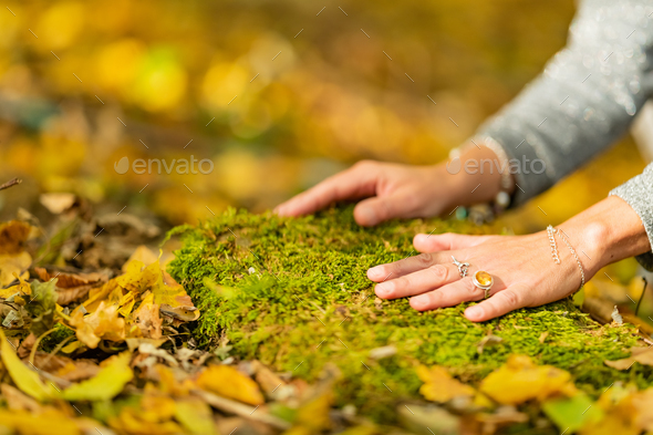 Female hands touching the ground, connecting to earth, grounding ...