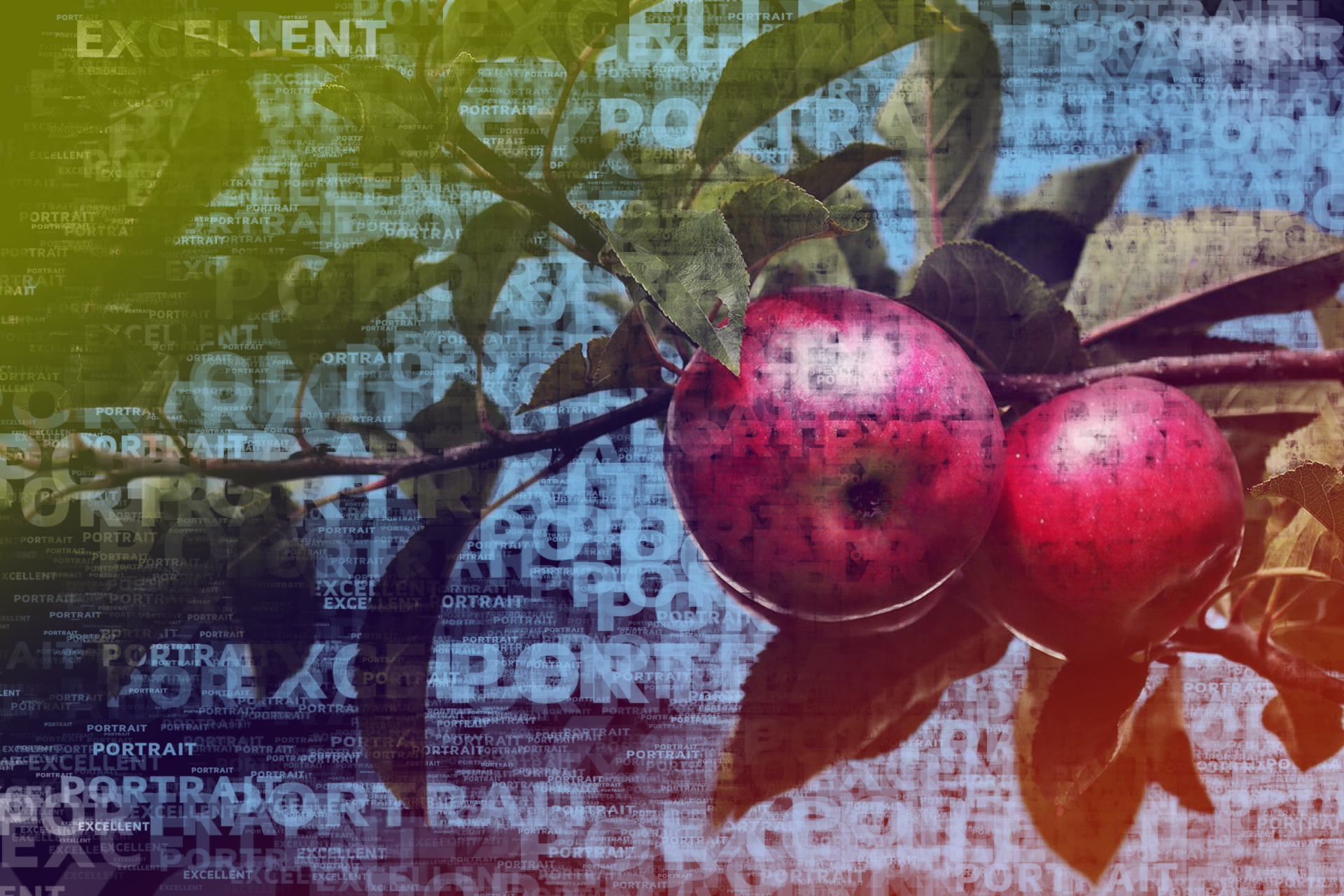 Scatter Text Portrait Photo Effect, Add-ons | GraphicRiver