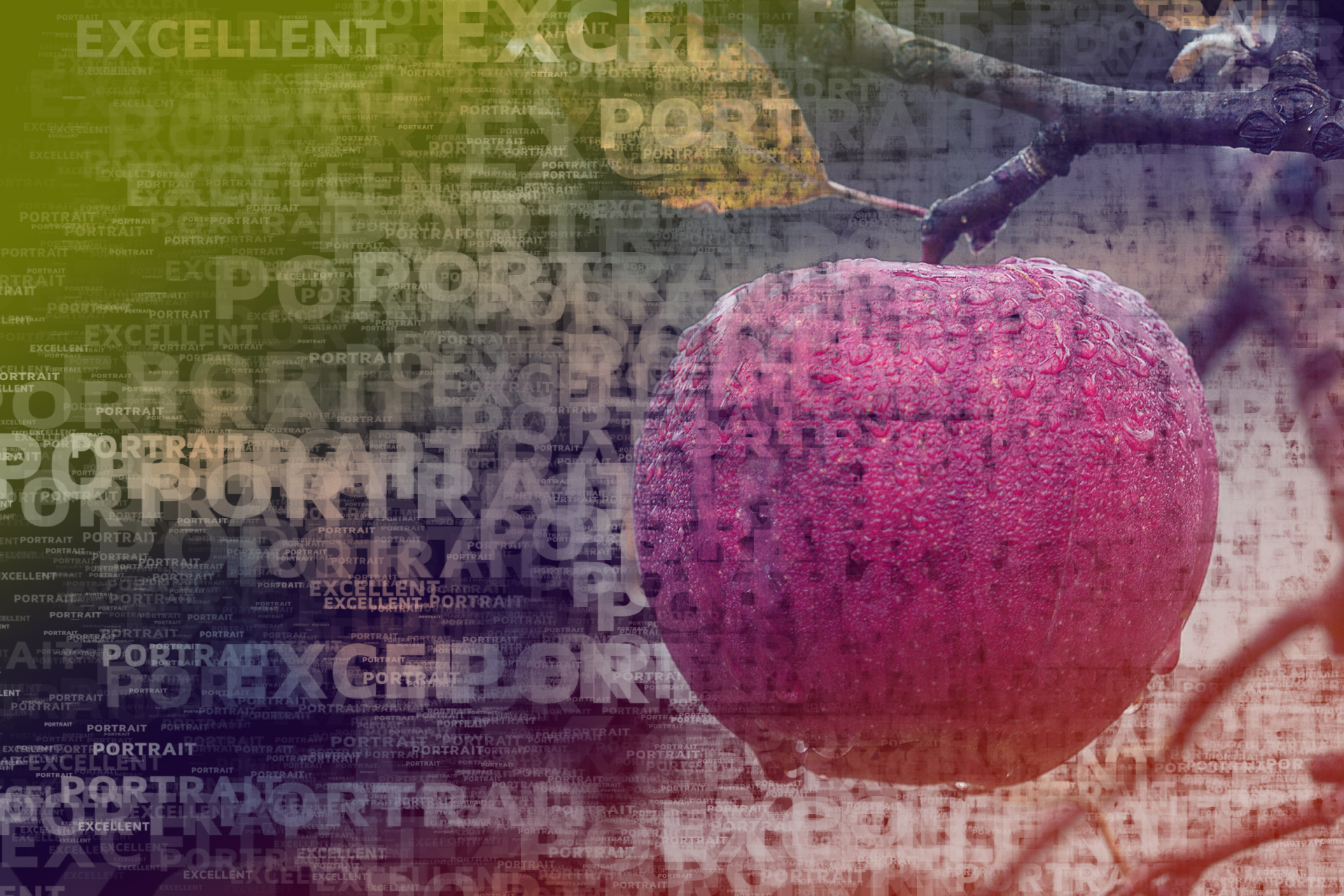 Scatter Text Portrait Photo Effect, Add-ons | GraphicRiver