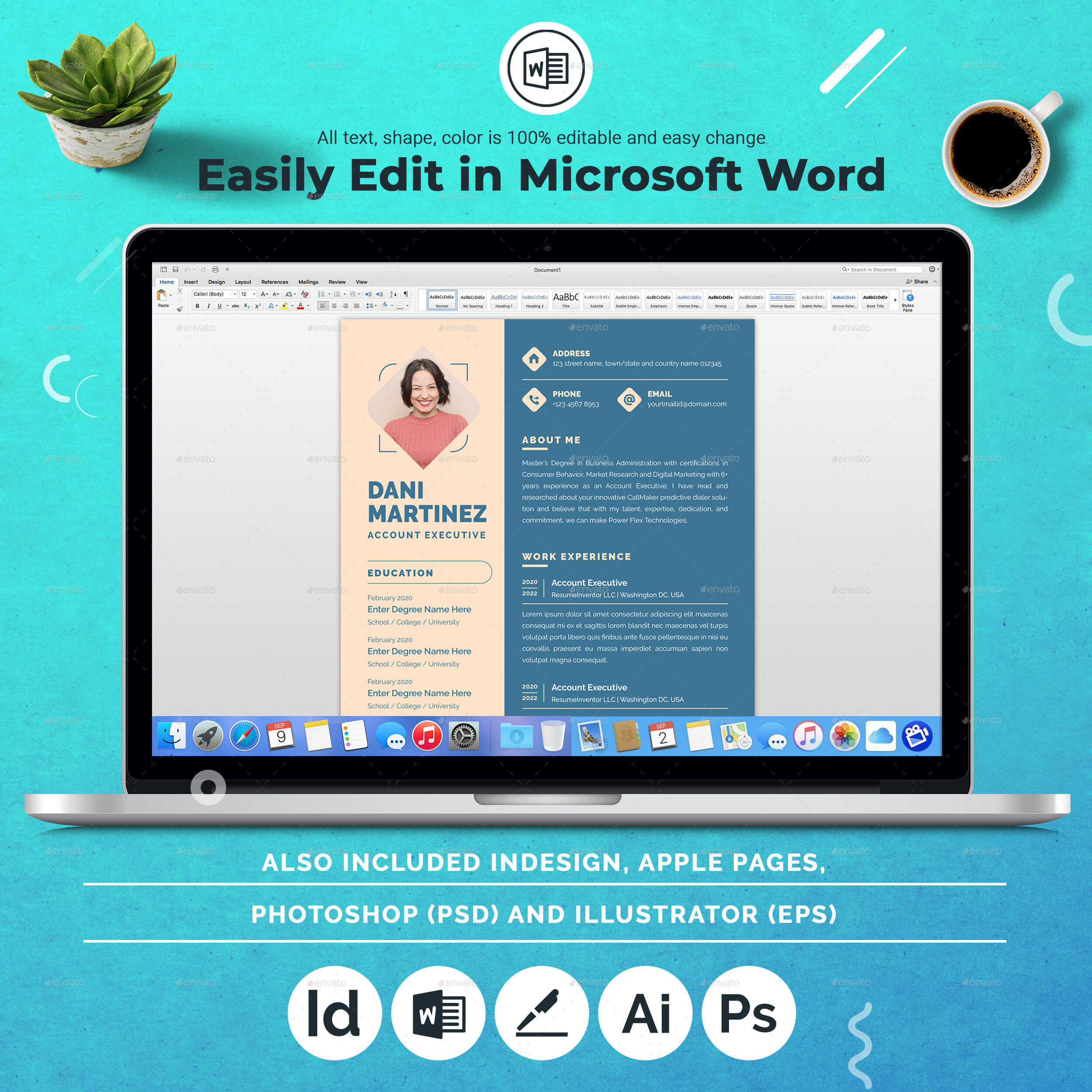 Accountant Executive Resume Template, Print Templates | GraphicRiver