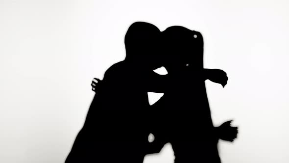 Shadows of Man Hugging Woman on White Background, Stock Footage | VideoHive