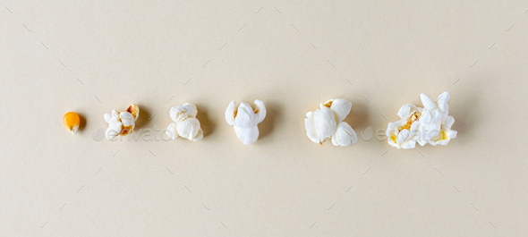 Stages of preparation of popcorn. Grain of corn and popcorn on a pastel ...