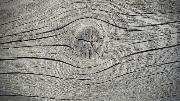 Old weathered wooden texture with rings and cracks Stock Photo by didesign