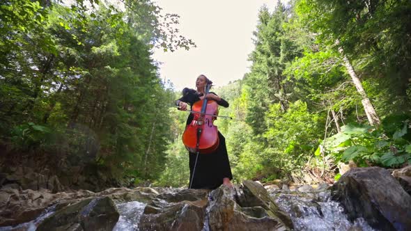 Female musician plays on cello against picturesque landscape, Stock Footage