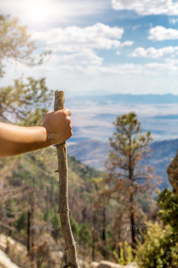 Hand Holding Walking Stick While Hiking Stock Photo by GoodFocused