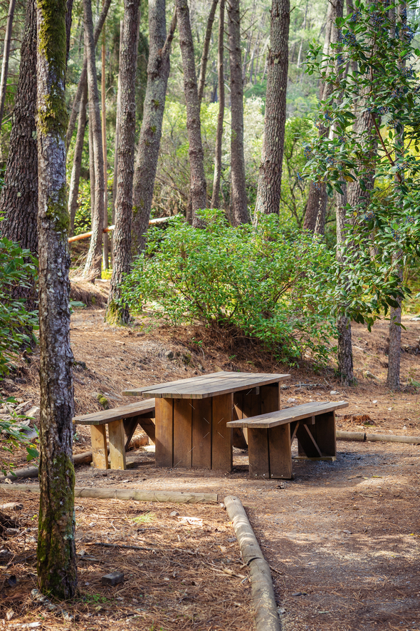 Wooden picnic area in the middle of the forest, recreation area ...