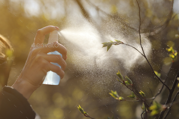 Female hands holds container and sprays tree branch with buds against ...