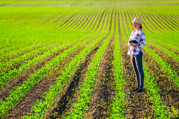 Agricultural occupation Stock Photo by djoronimo | PhotoDune