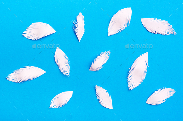 Cut out white paper fringe leaves scattered on a blue cardboard ...