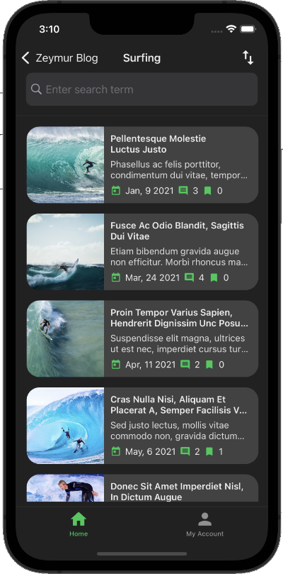 Blog App Ui Template For Maui And Xamarin Forms By Zeymur Codecanyon