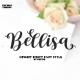 Bellisa, Fonts | GraphicRiver