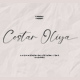 Costar Oliya, Fonts | GraphicRiver