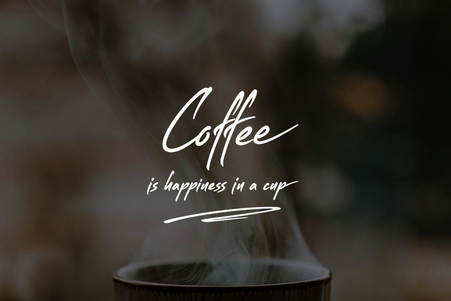 Passion Handwritten Font, Fonts | GraphicRiver