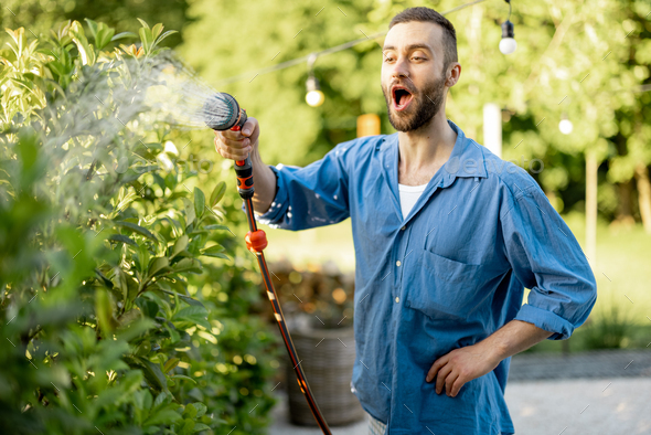 Handsome guy watering green hedge at garden Stock Photo by RossHelen
