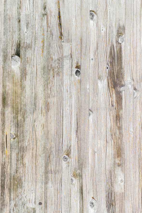 Light wood background Stock Photo by KYNASTUDIO | PhotoDune