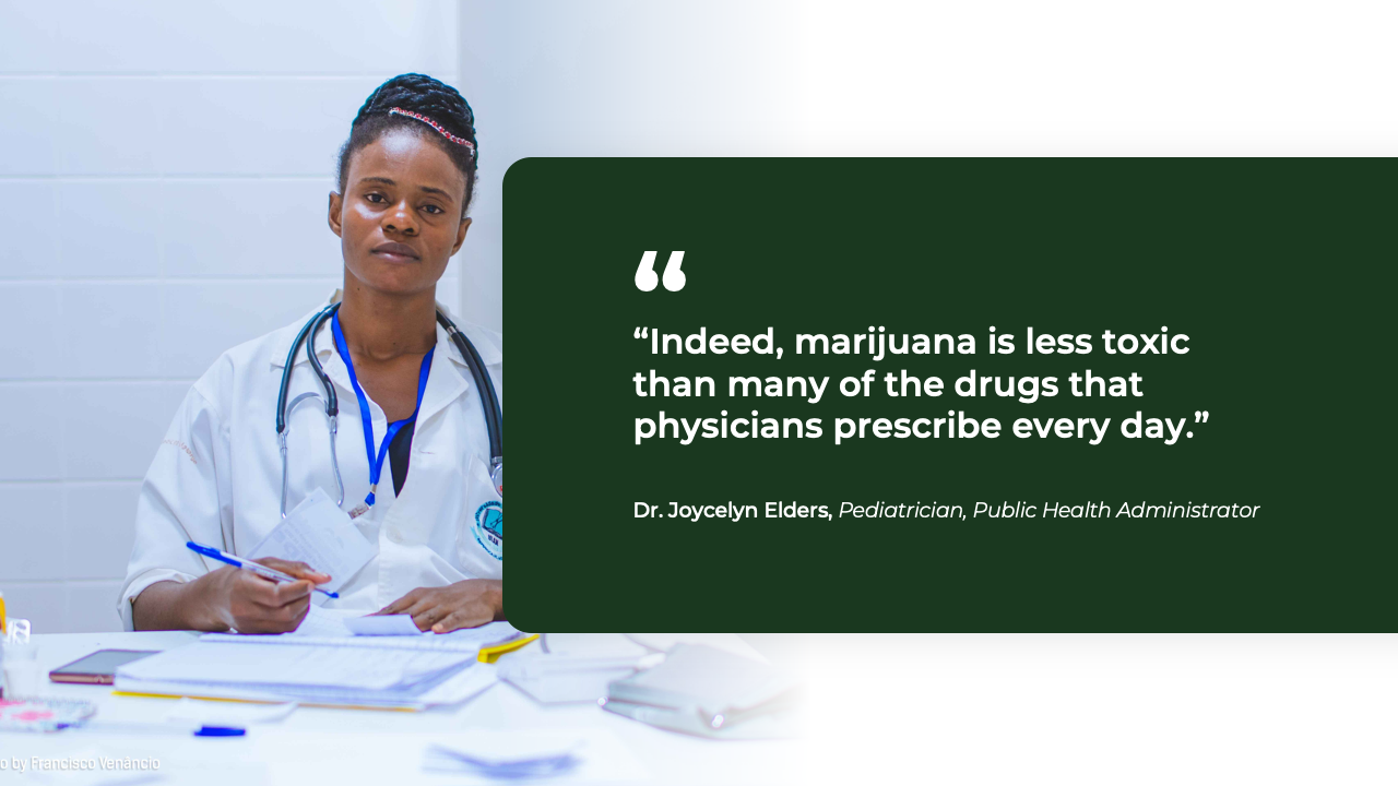 Cannabiz - Medical Marijuana & Cannabis PowerPoint Template ...