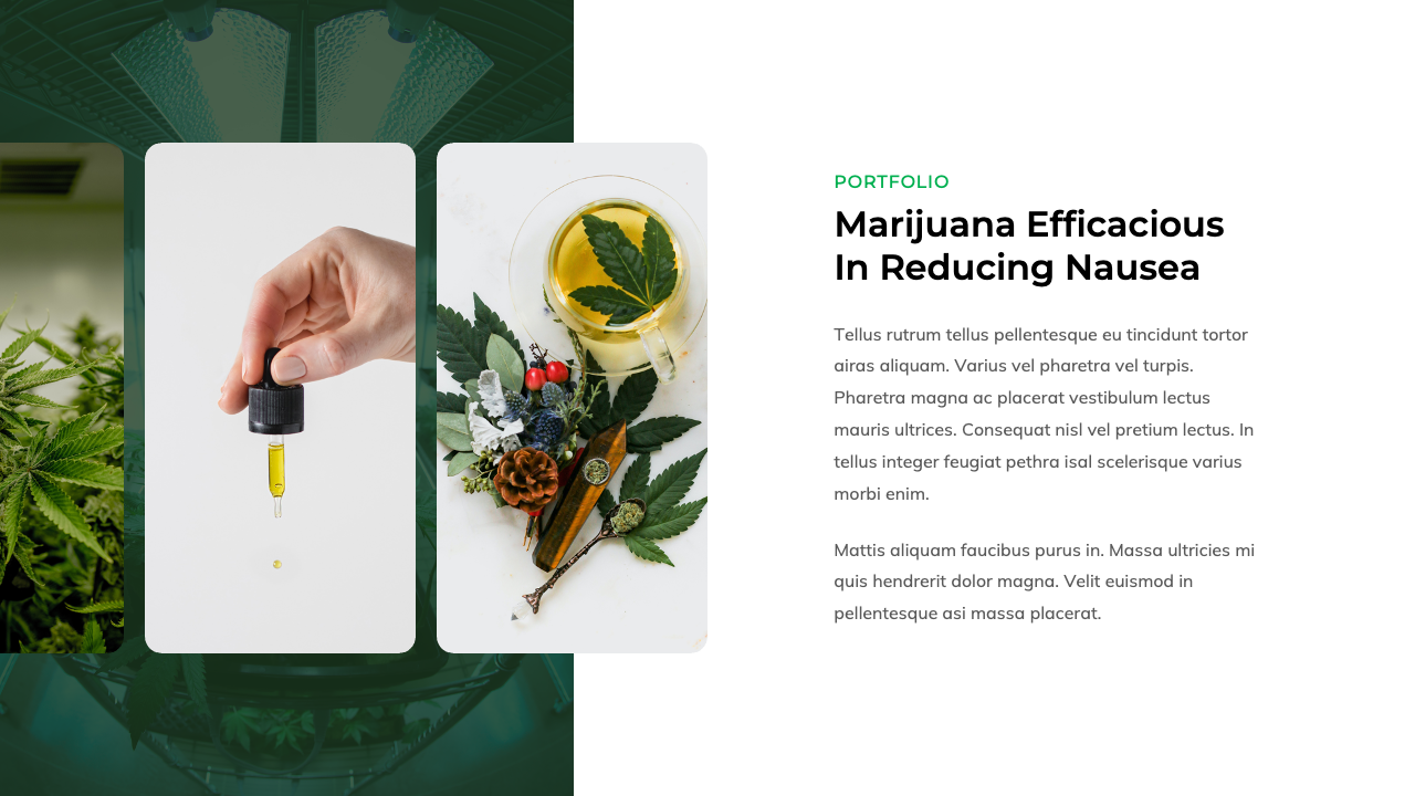 Cannabiz - Medical Marijuana & Cannabis PowerPoint Template ...