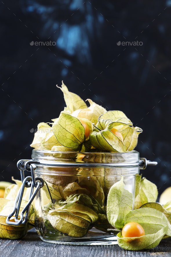 Dry physalis, dark background, selective focus Stock Photo by Olga_Kochina
