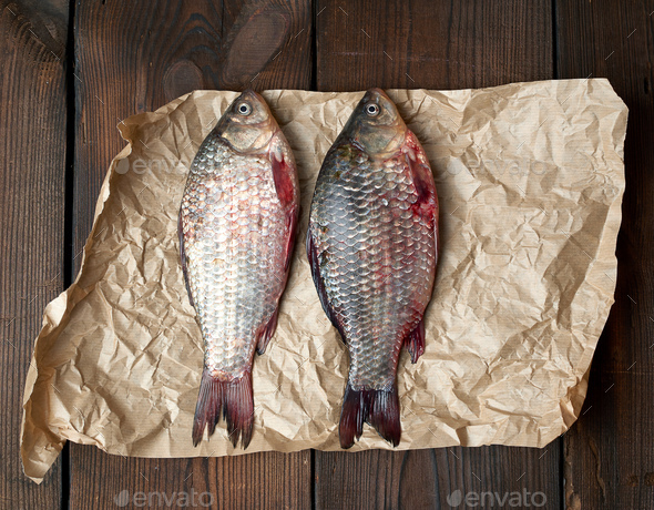 Whole fresh crucian fish with scales on a crumpled brown piece of paper ...