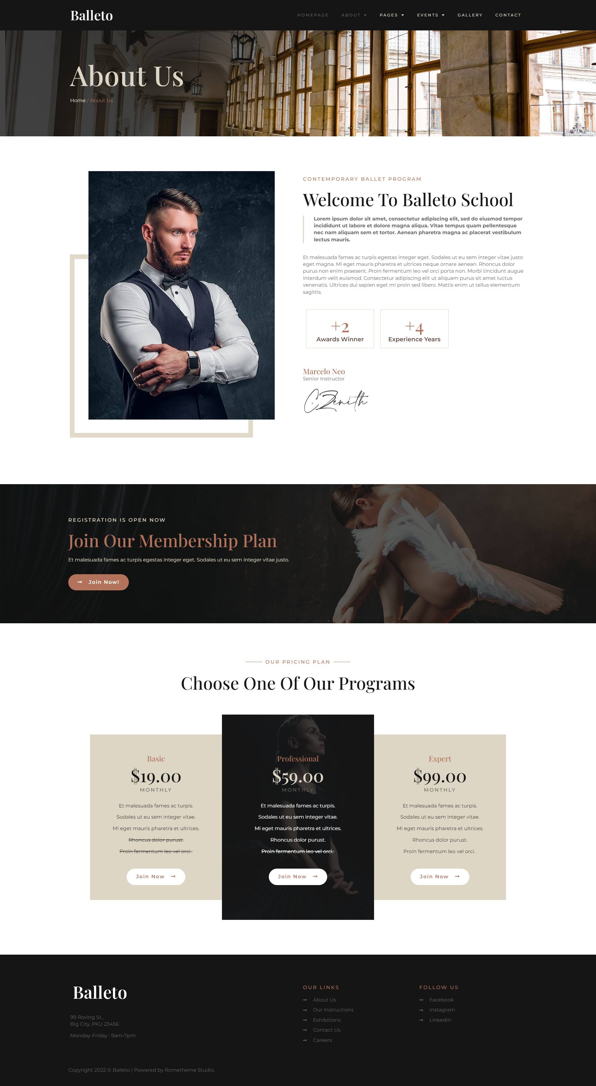 Balleto - Ballet School Elementor Pro Full Site Template Kit by Rometheme