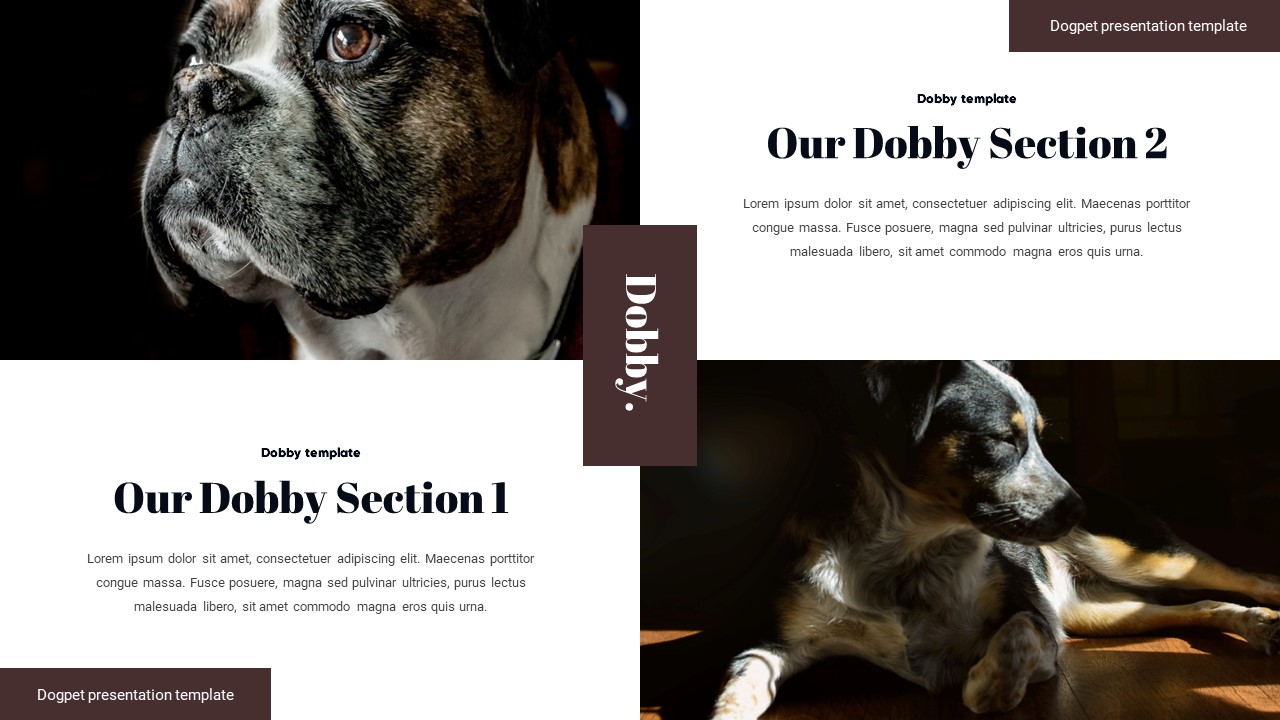 Dobby - Pet Shop Powerpoint Template, Presentation Templates | GraphicRiver