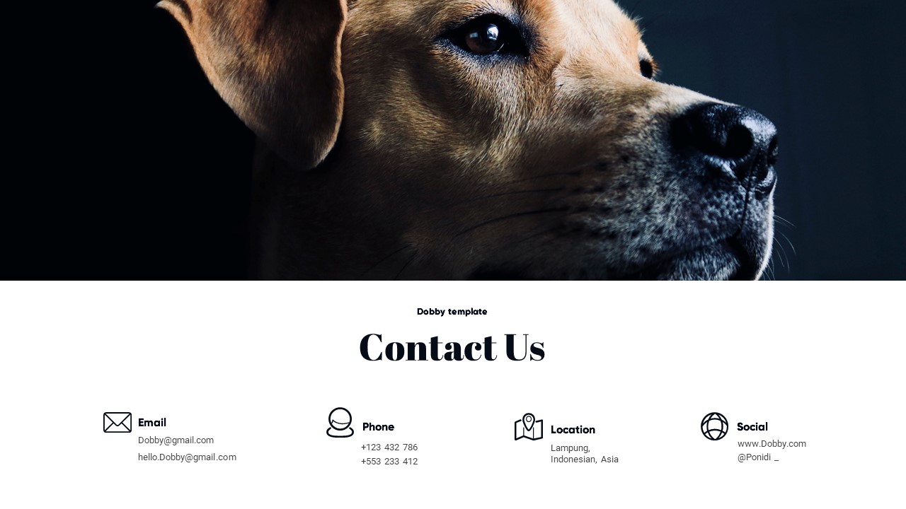 Dobby - Pet Shop Google Slides Template, Presentation Templates ...