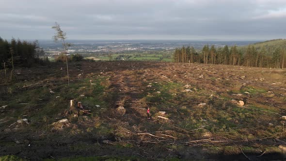 Drone shot showing deforestation in effect on a hill in Ireland., Stock ...