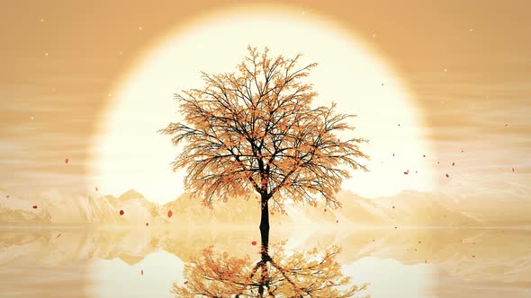 Autumn Lone Tree Loop 4k, Motion Graphics | VideoHive