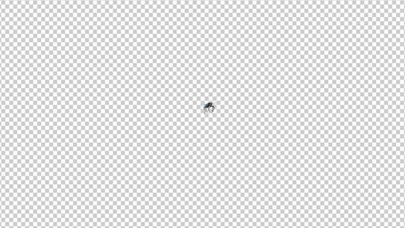 Fly - III - 4K Flying Loop, Motion Graphics | VideoHive