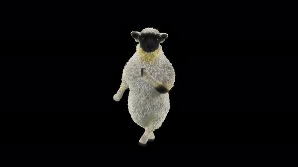 22 Sheep Dancing 4K, Motion Graphics | VideoHive