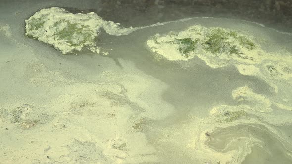 surface of a polluted body of water, Stock Footage | VideoHive