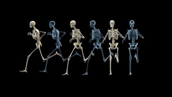 Skeleton Run Cycle Pack Full Hd, Motion Graphics | VideoHive