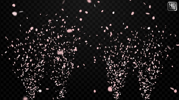 Cherry Blossom Particle, Motion Graphics | VideoHive