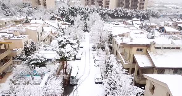 Heavy Snow in Iran Tehran trees covered by white snow, streets houses ...
