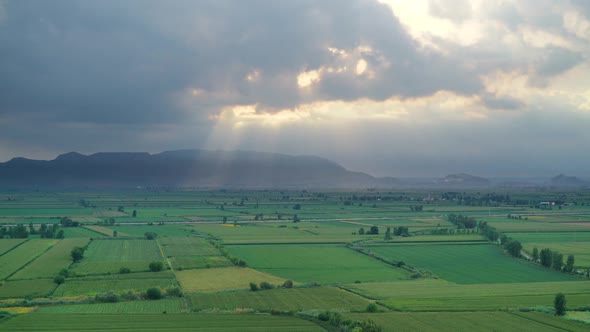 8K Wide Flat Plain Covered With Green Fields, Stock Footage | VideoHive