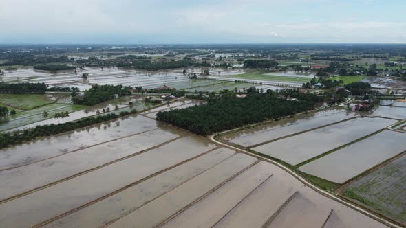Aerial fly over flood paddy field, Stock Footage | VideoHive