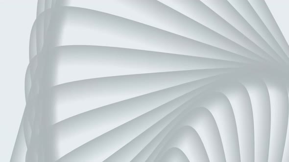White Background, Motion Graphics | VideoHive