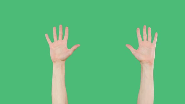 Raised Open Hand Palms on Green Screen Background. Closeup Left and ...