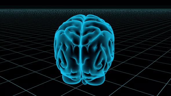 3D Animated Seamless Loop Of A Human Brain, Motion Graphics | VideoHive