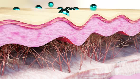 Animation Serum through the skin layer to repair wrinkles and dark ...