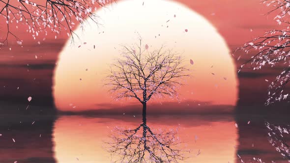 Sunset Loop, Motion Graphics | VideoHive