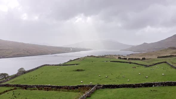 Aerial View of Green Farmland in Ireland by zonecreative | VideoHive