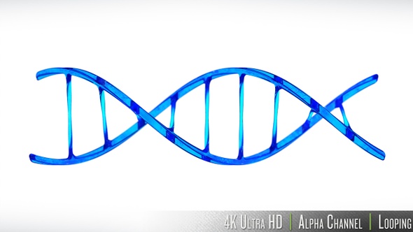 4K DNA Double Helix Strand Loop, Motion Graphics | VideoHive