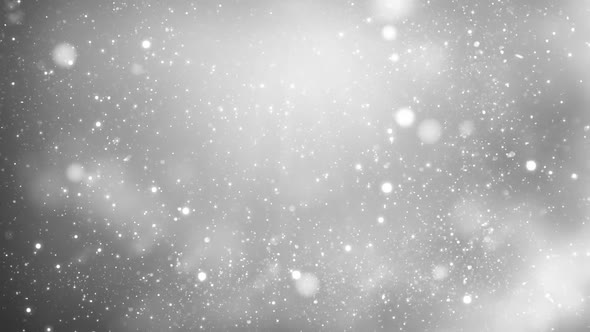 Particles White Background, Motion Graphics | VideoHive