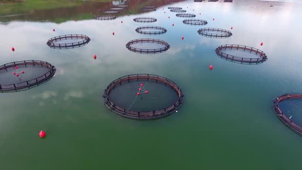 Pisciculture Fish Farming in Lake by Pro-Stock | VideoHive