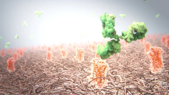 Microbiology Medical Animation of G Protein Coupled Receptors, Motion ...